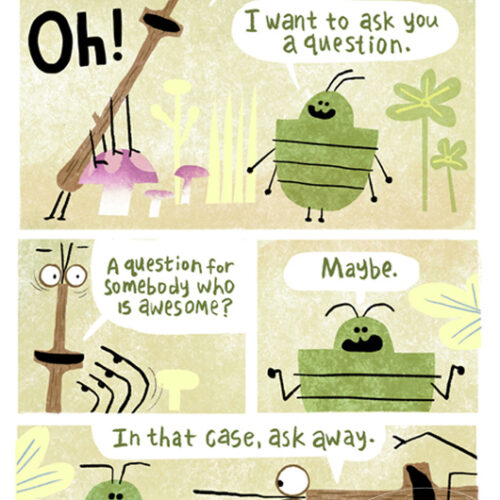 Michael Slack - Painted Words