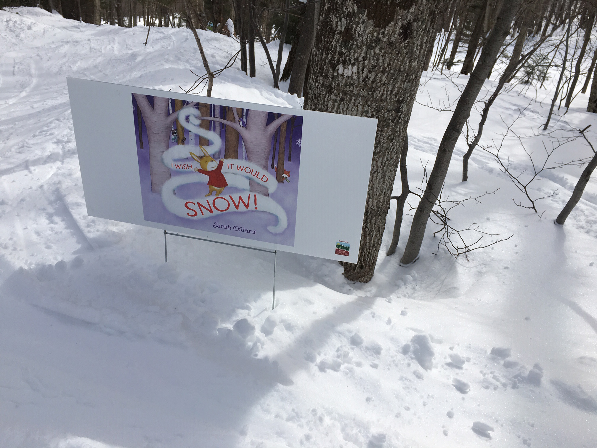 Fun Filled Weekend for Sarah Dillard and Her Book I Wish It Would Snow ...