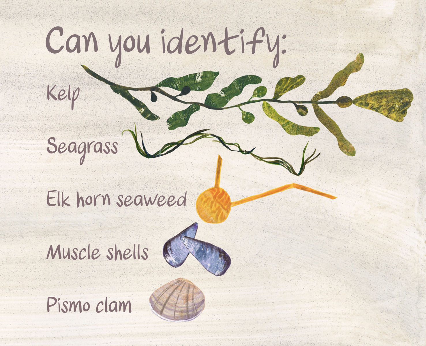 Healey Amy - Painted Words